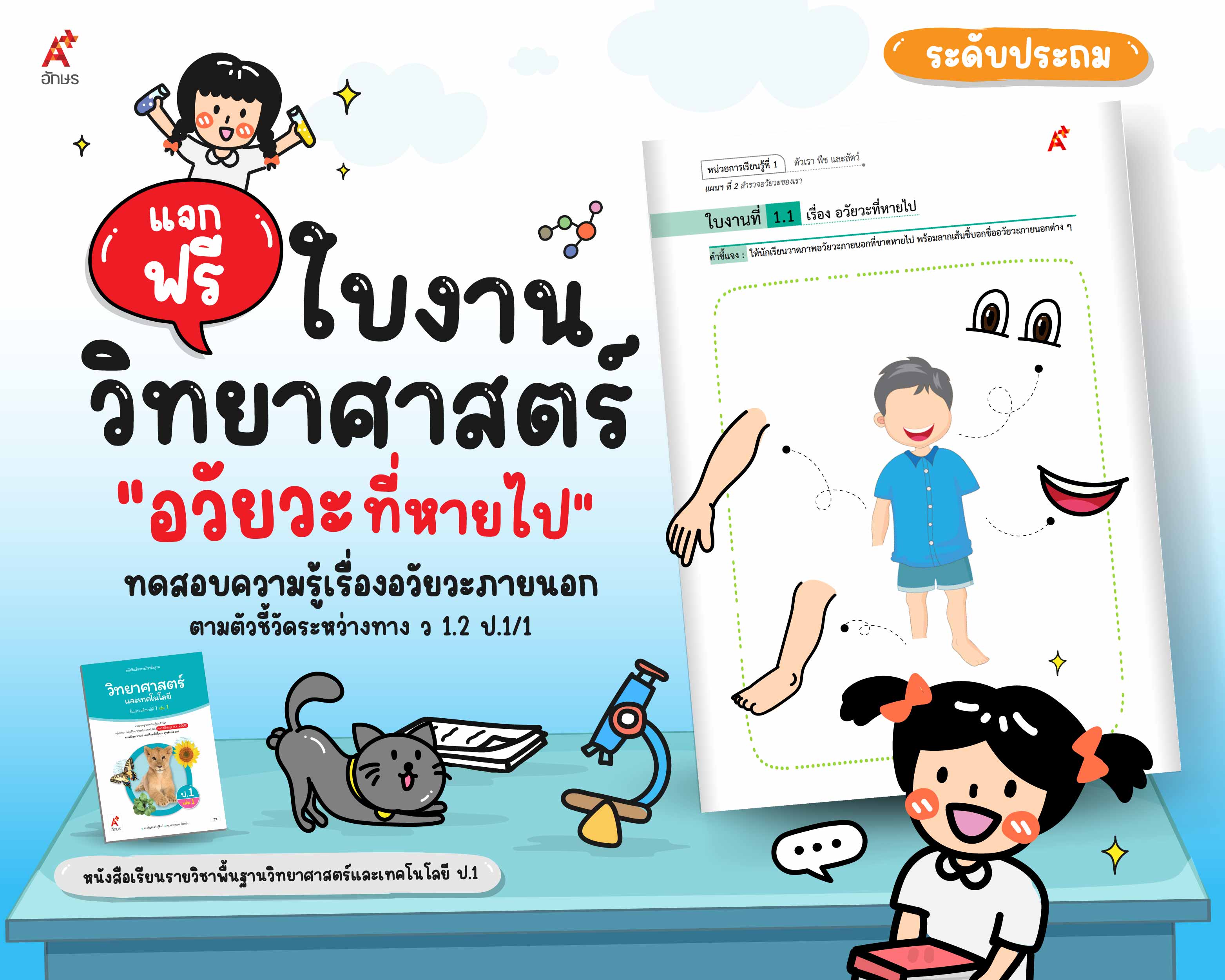 แจกฟรี ใบงานวิทยาศาสตร์ "อวัยวะที่หายไป" ทดสอบความรู้เรื่องอวัยวะภายนอก ระดับประถมศึกษา